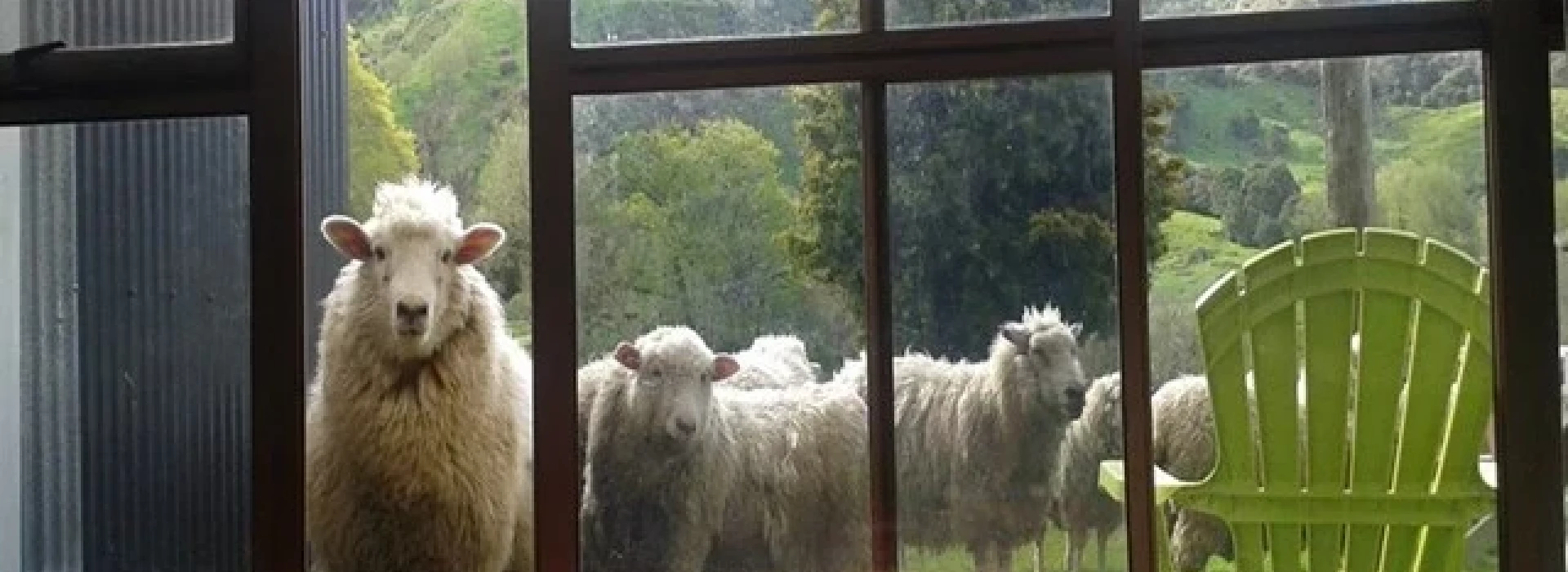 Linburn Farmstay